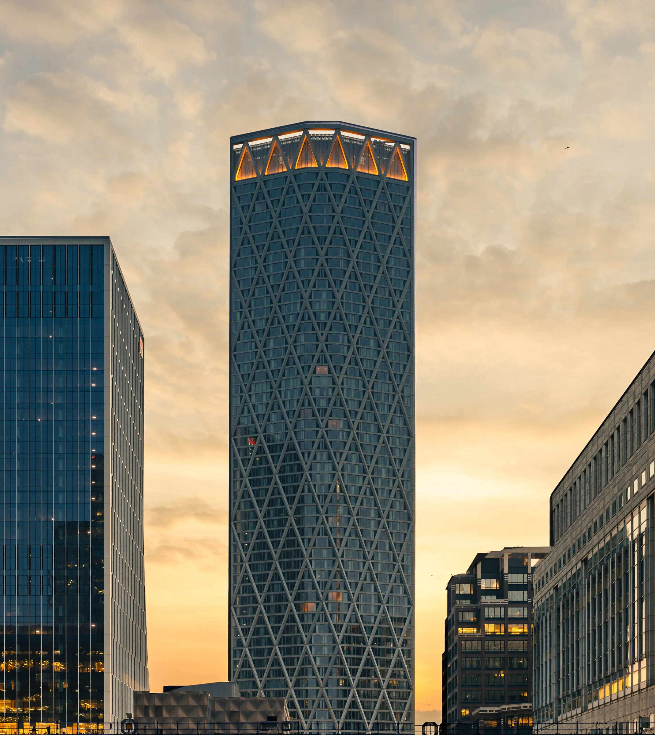 Newfoundland | Vertus